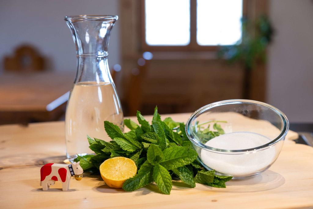 Home-made fresh mint syrup - Mission August 1st